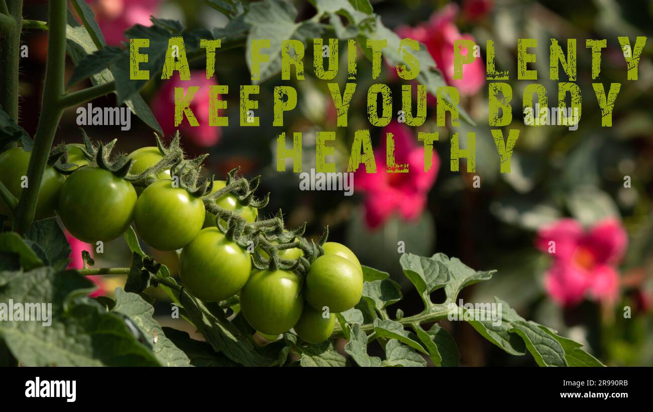 Eat fruits plenty, keep your body healthy. sentence. Fresh fruits and ...