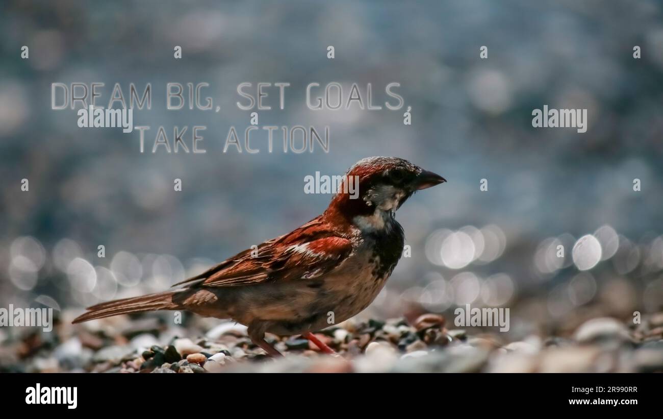 Dream big set goals take action hi-res stock photography and images - Alamy
