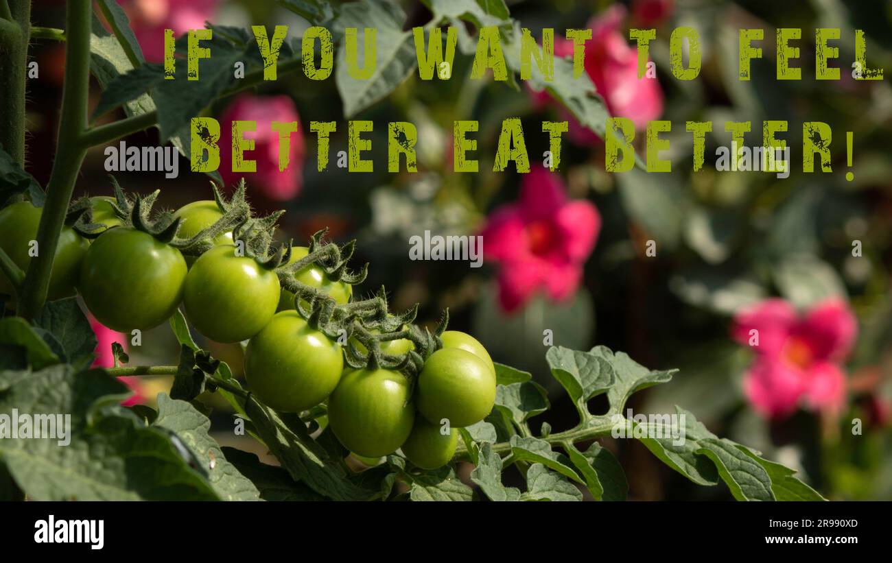 If you want to feel better, eat better sentence. Fresh fruits and ...