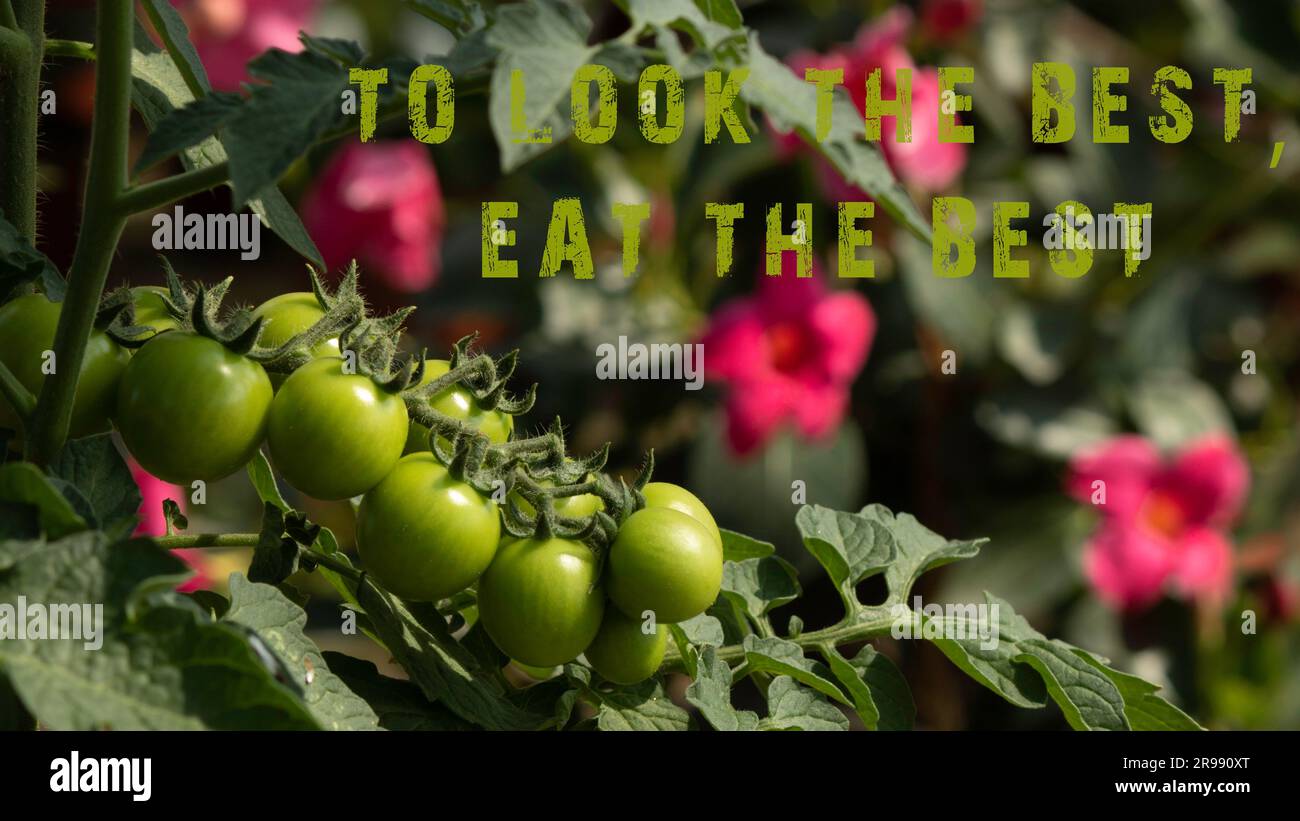 The phrase To look the best, eat the best. Fresh fruits and vegetables ...
