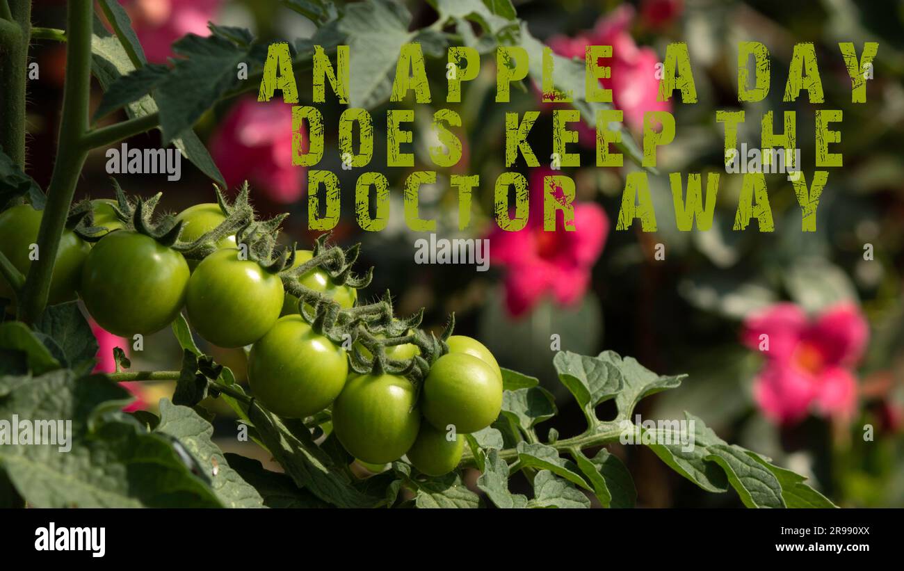 An Apple A Day Does Keep The Doctor Away Sentence Fresh Fruits And an-apple-a-day-does-keep-the-doctor-away-sentence-fresh-fruits-and