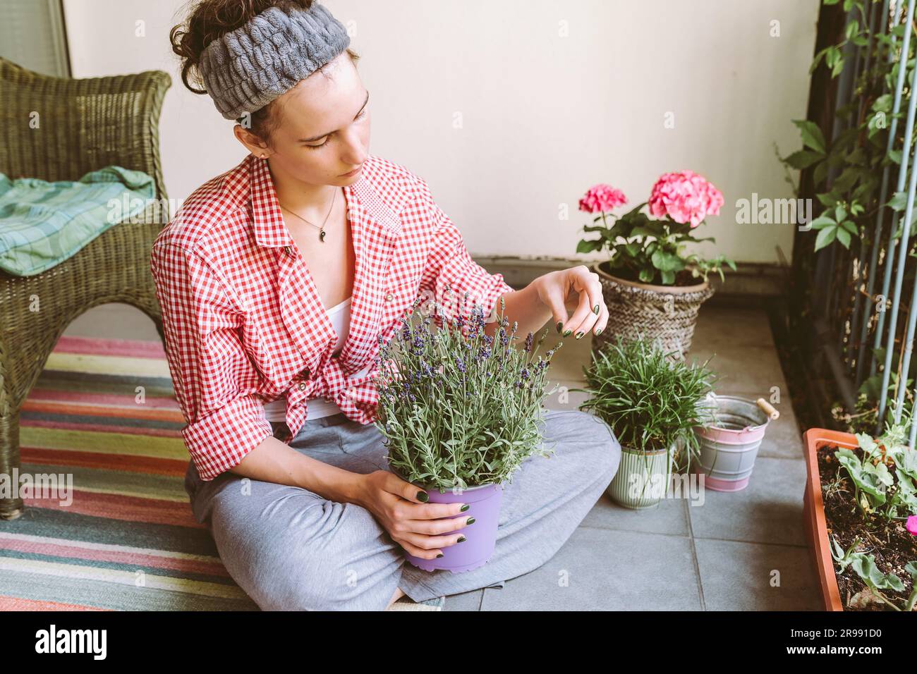 Hobbies gardening floriculture plant care Stock Photo - Alamy
