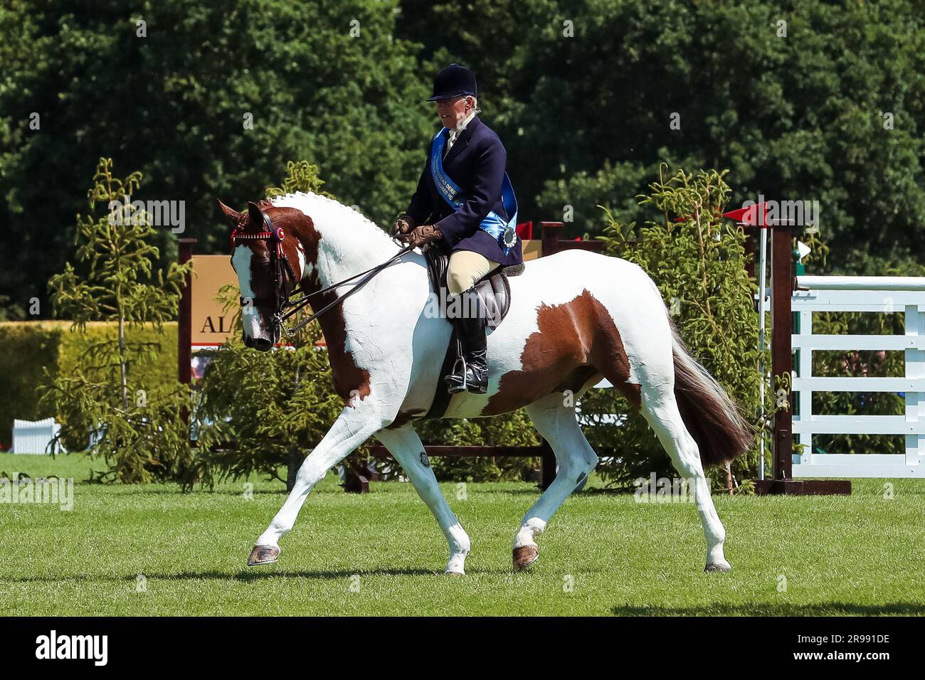 His majesty the kings sunbeam hi-res stock photography and images - Alamy