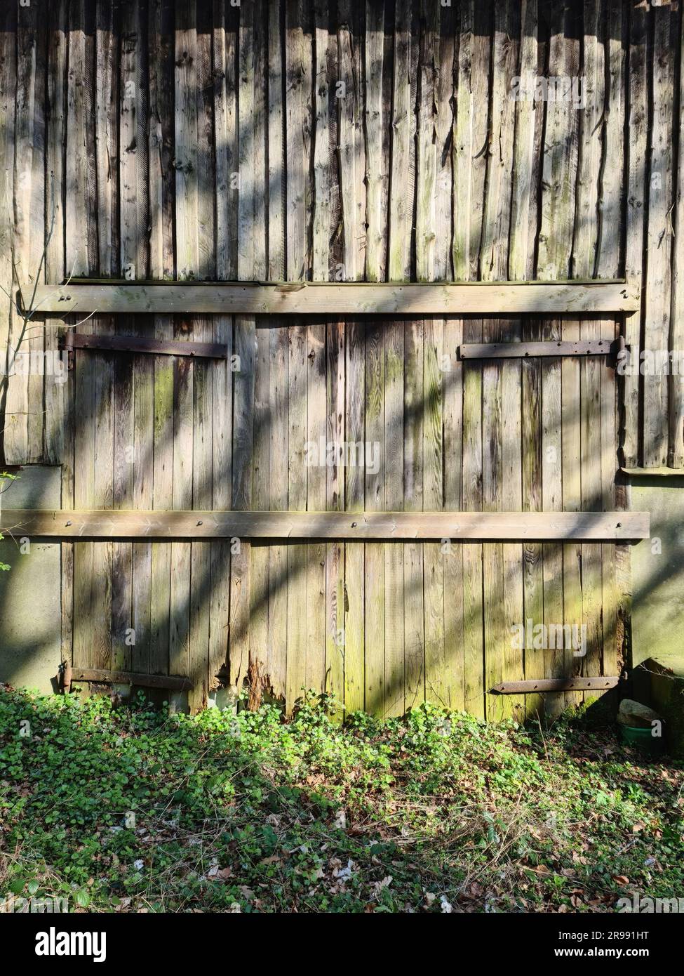 Wood surfaces showing planks logs and wooden walls in high resolution ...