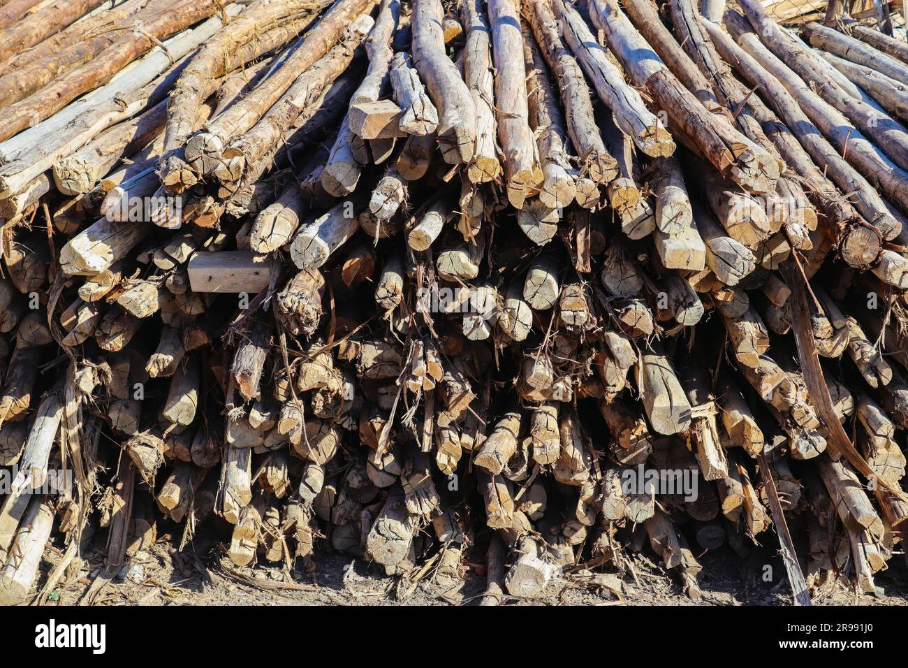 Wood surfaces showing planks logs and wooden walls in high resolution ...
