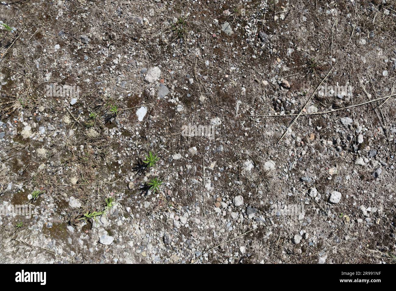 Sand and stones on a gravel ground texture in high resolution Stock ...