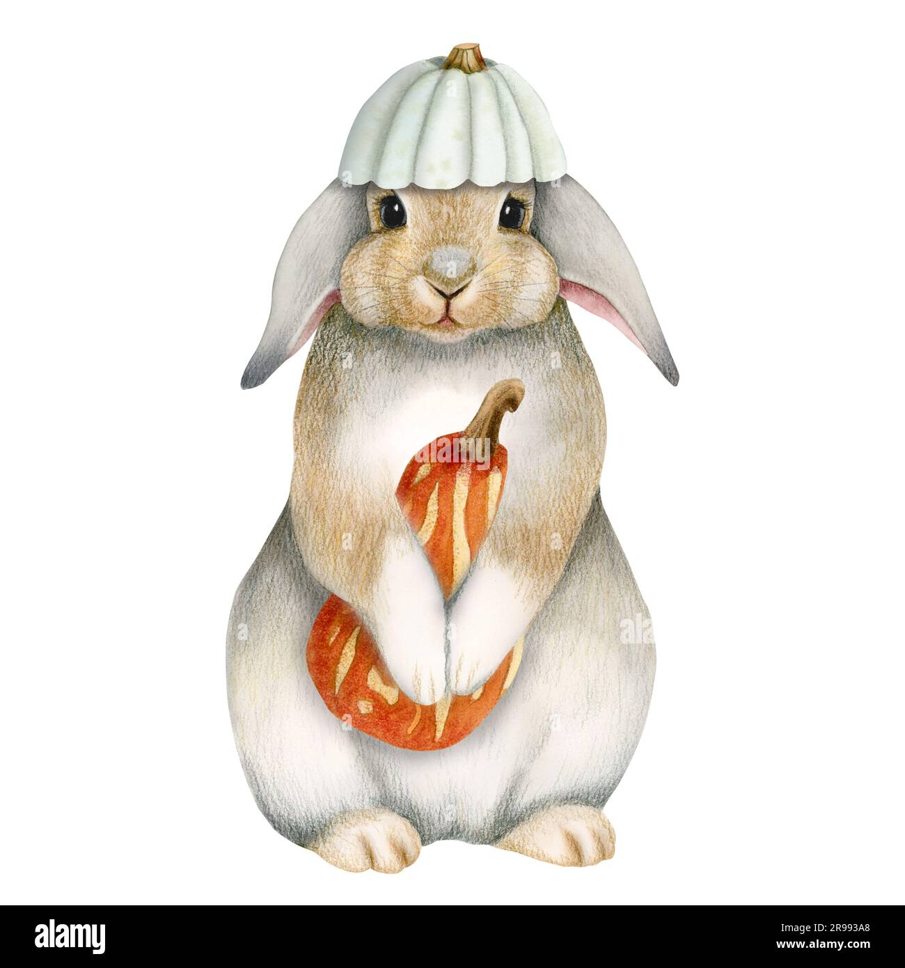 Bunny drawing Cut Out Stock Images & Pictures - Alamy