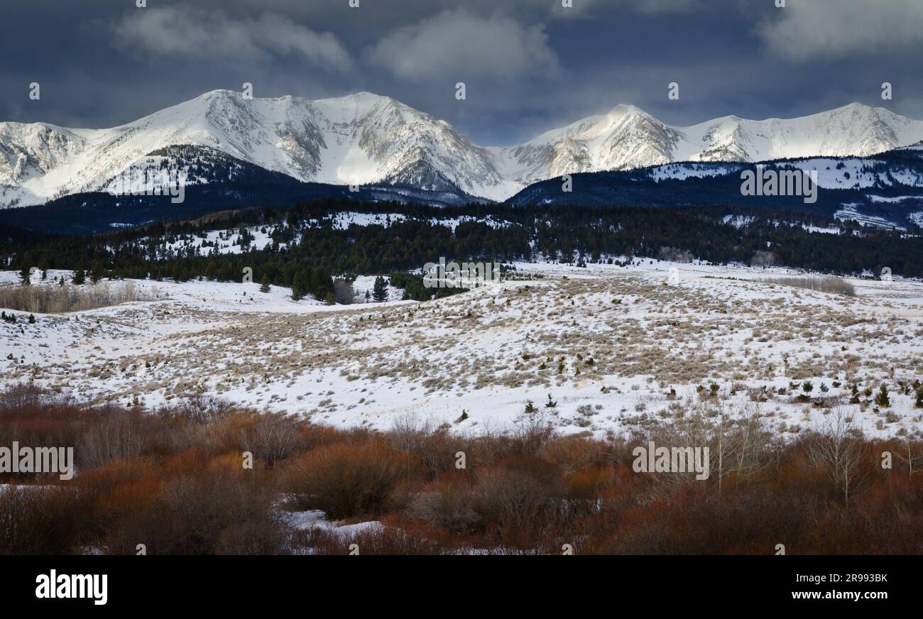 Bridger mountain range montana hi-res stock photography and images - Alamy