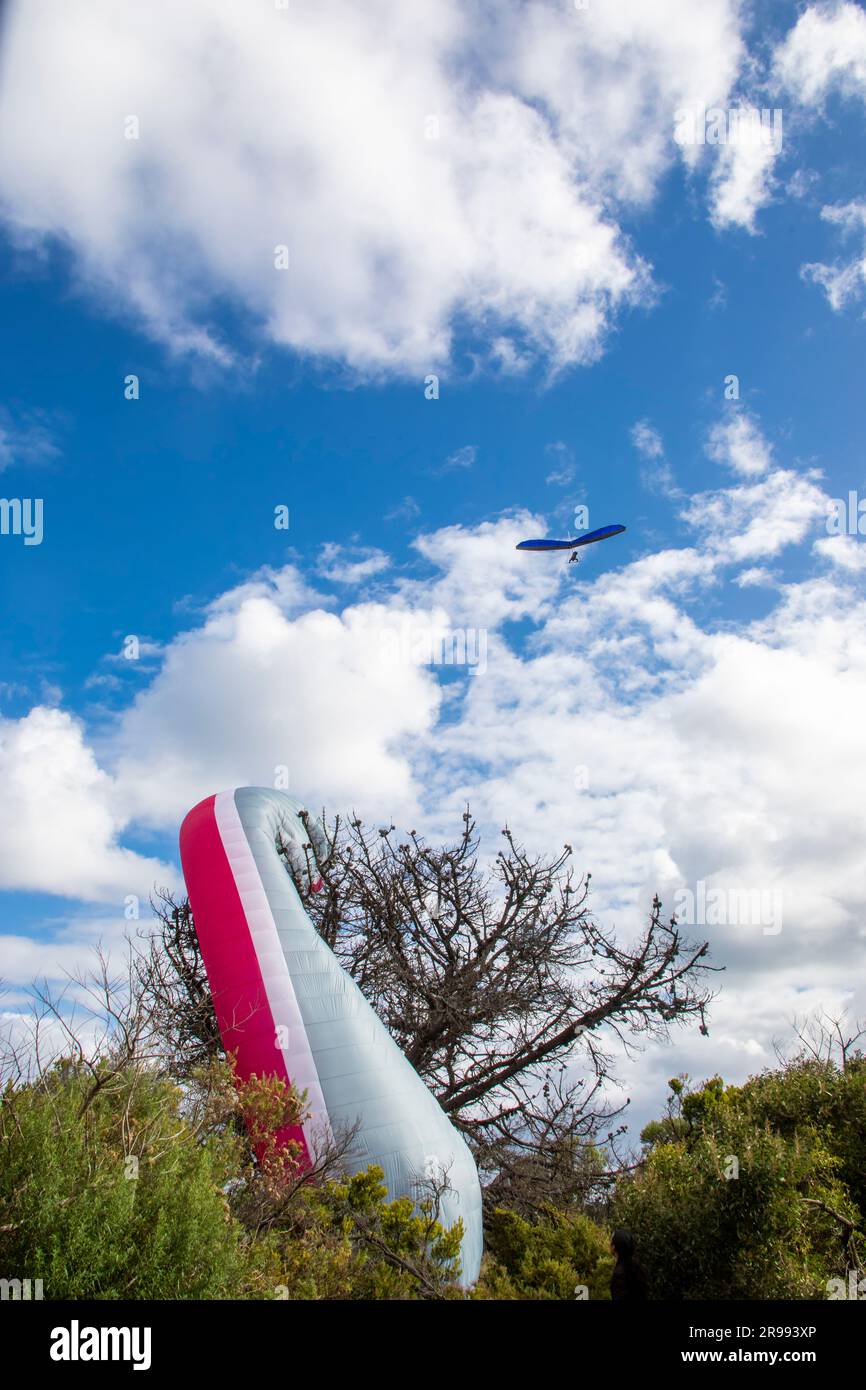 The take off of versatile paragliding failed in Flinders Golf Club. The ...