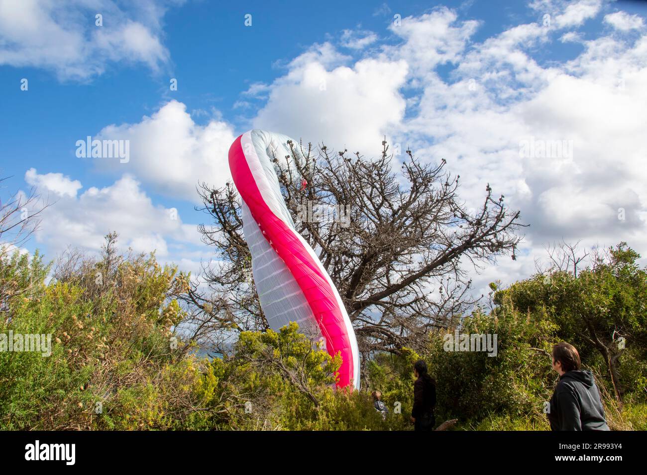 The take off of versatile paragliding failed in Flinders Golf Club. The ...