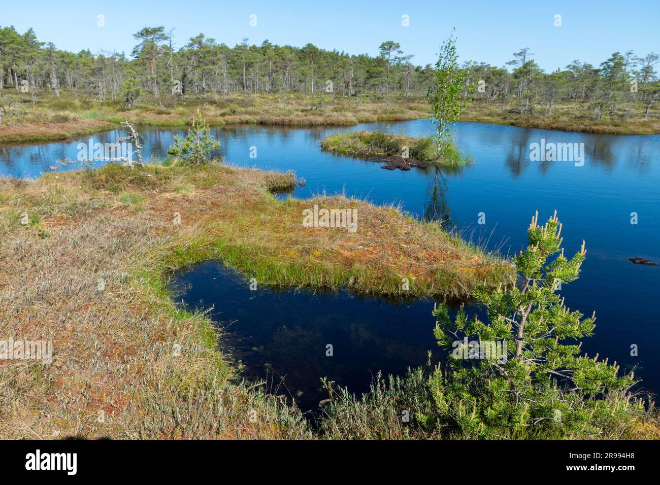 Peat basin hi-res stock photography and images - Alamy