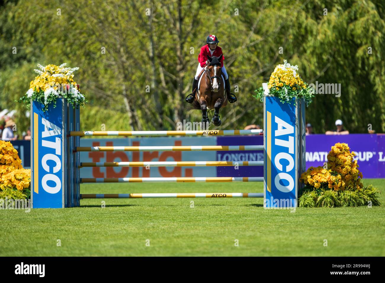 Tiffany Foster, of Team Canada competes at the FEI Nations Cup at ...
