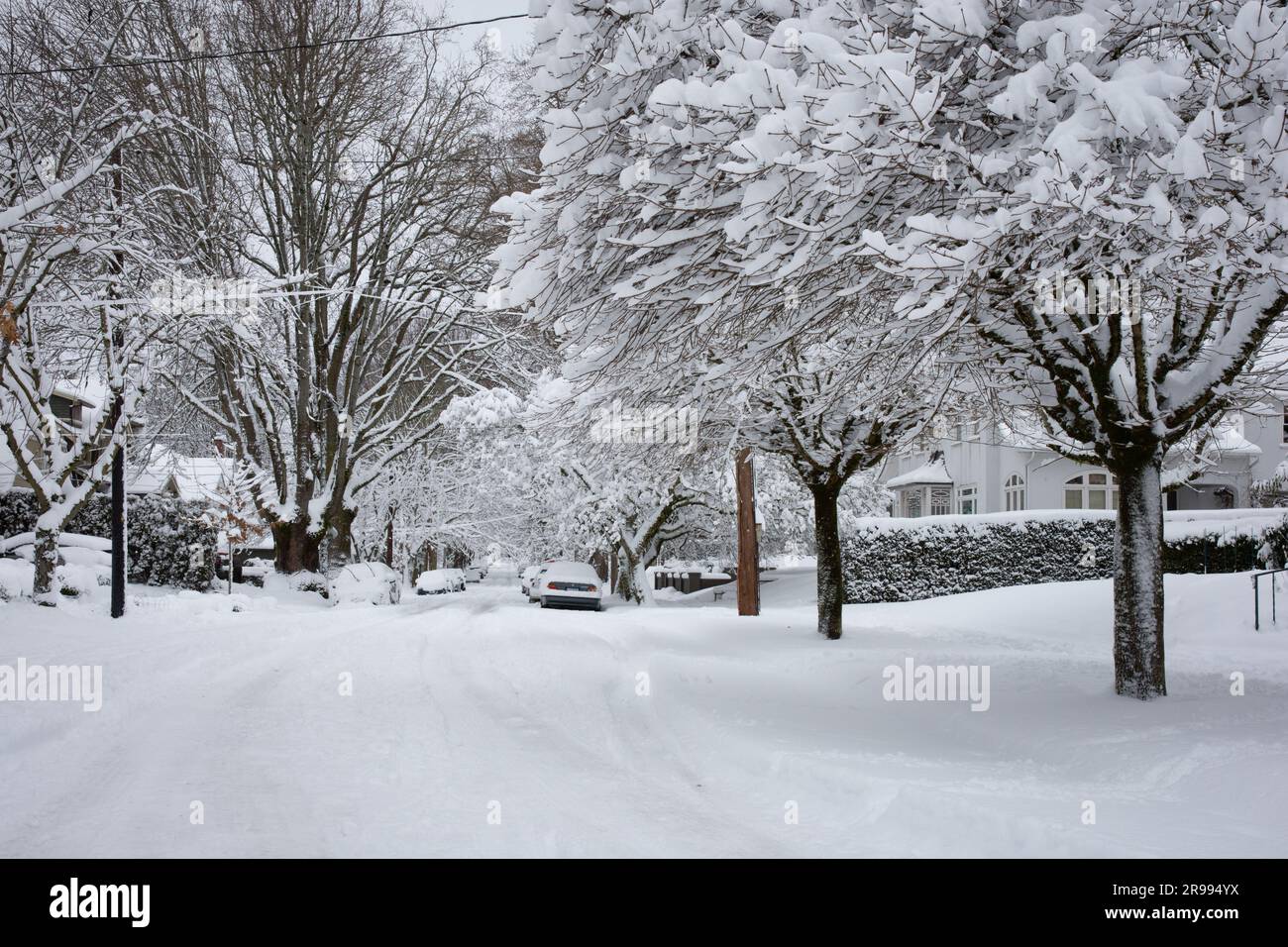 Irvington portland hi-res stock photography and images - Alamy