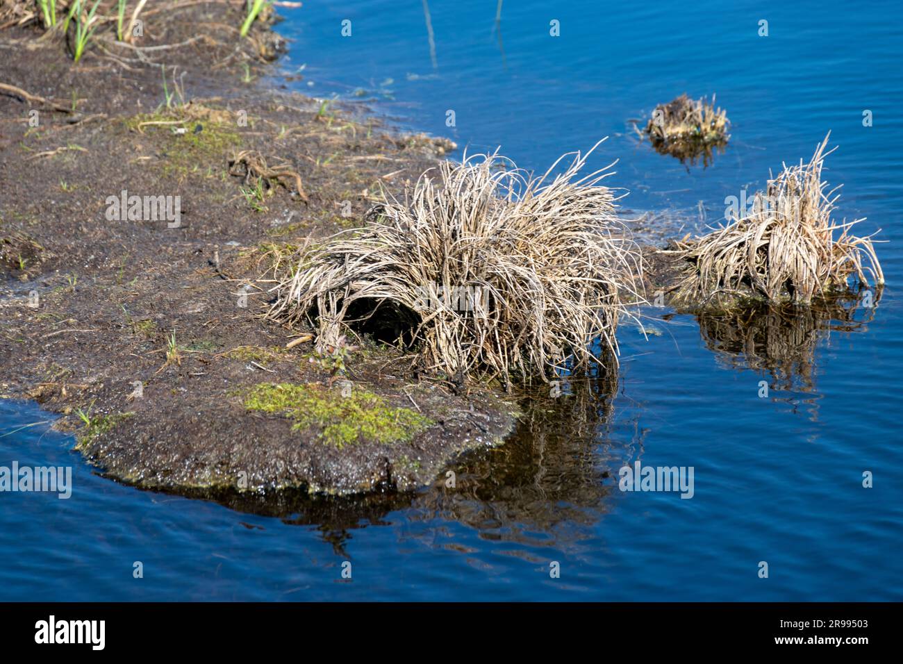 Peat formation hi-res stock photography and images - Alamy