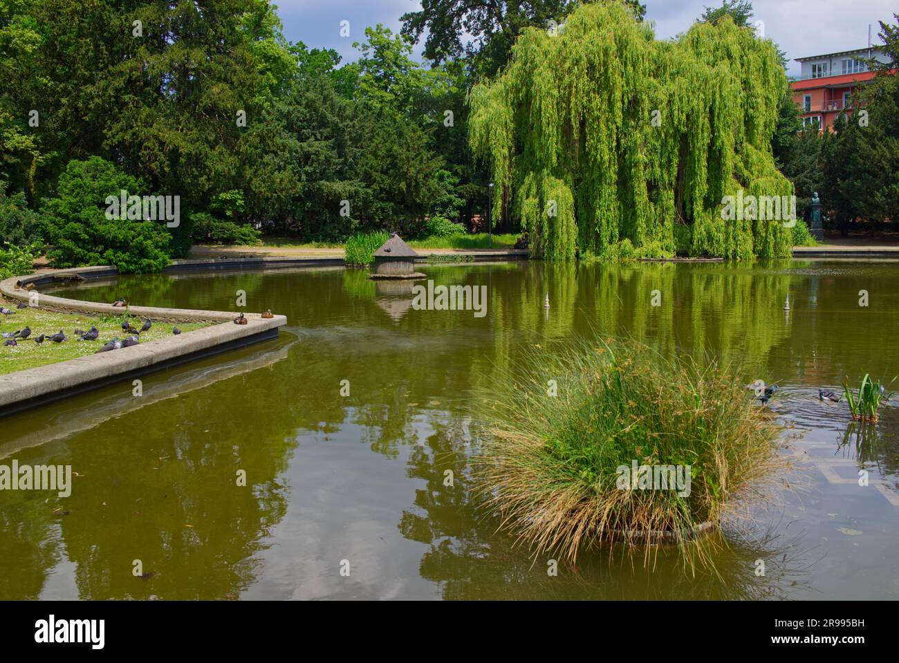 Bethmannweiher hi-res stock photography and images - Alamy