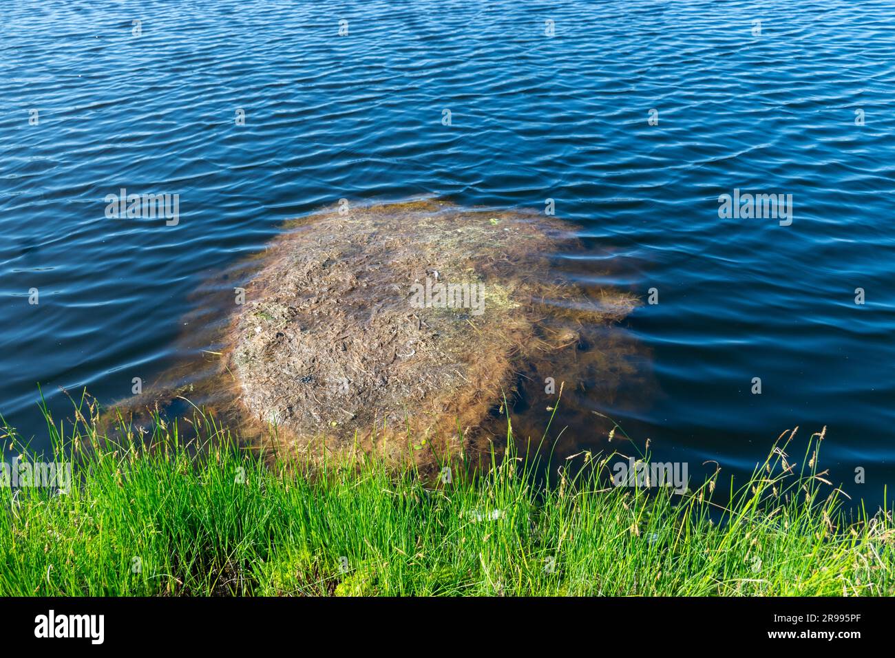 Peat formation hi-res stock photography and images - Alamy