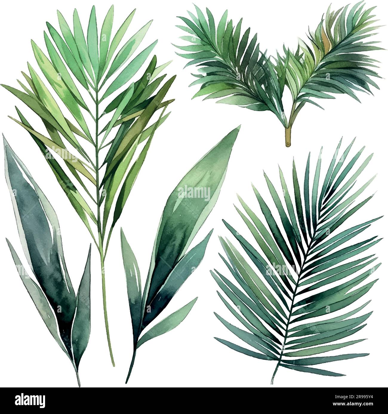 Modern exotic leave watercolor, great design for any purposes. Isolated ...