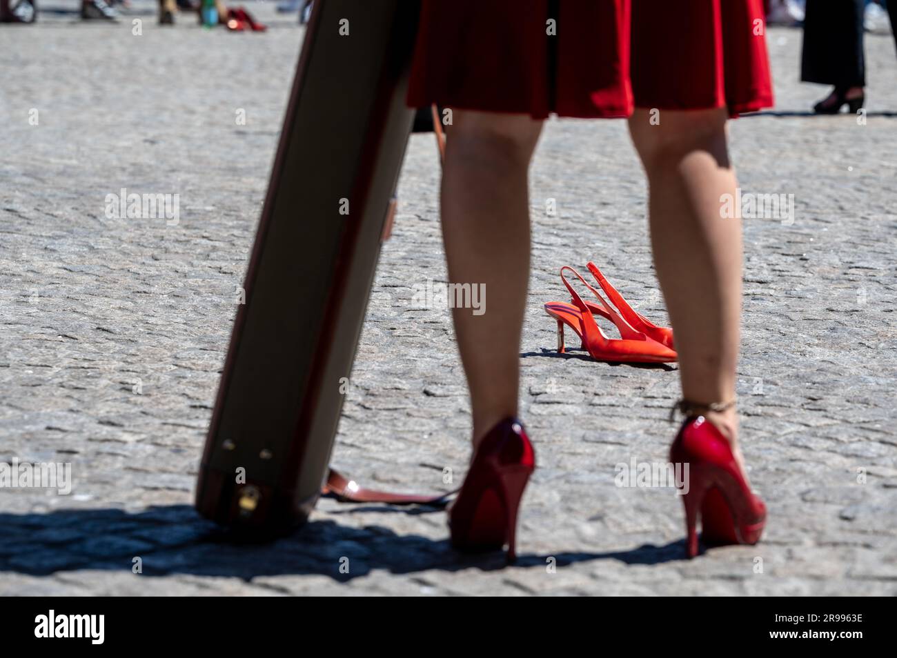 Naaldhakken hi-res stock photography and images - Alamy
