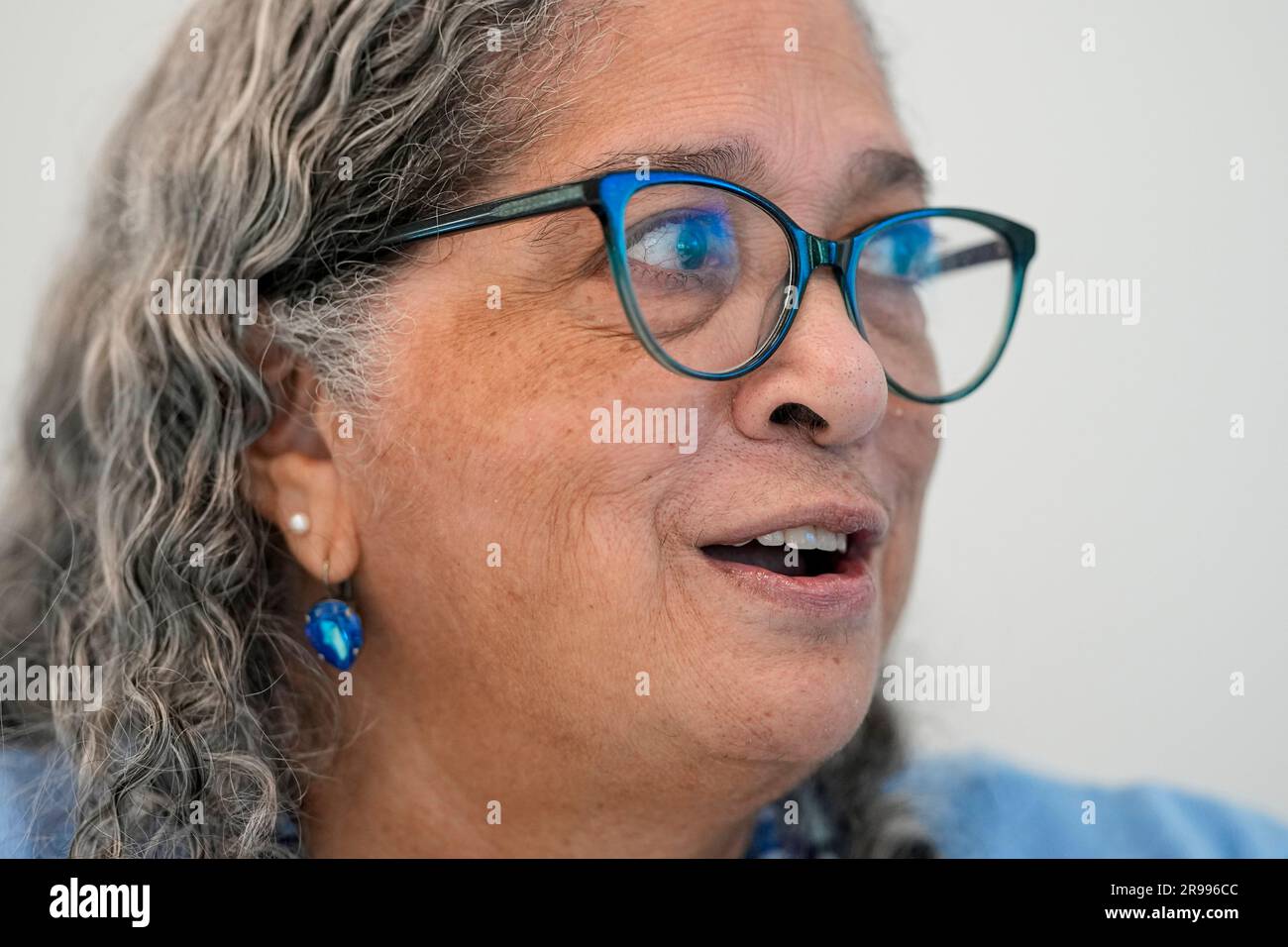 Dr. Shelley Murphy talks about the opening of the International African ...