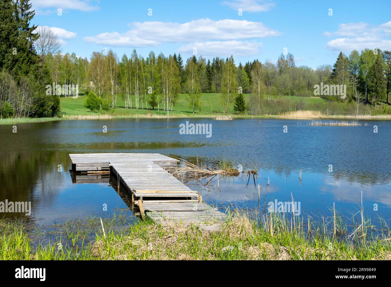 Bright spring landscape with a lake, the first bright green of spring ...