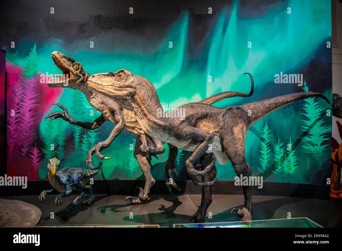 Primeval Dromaeosaurus