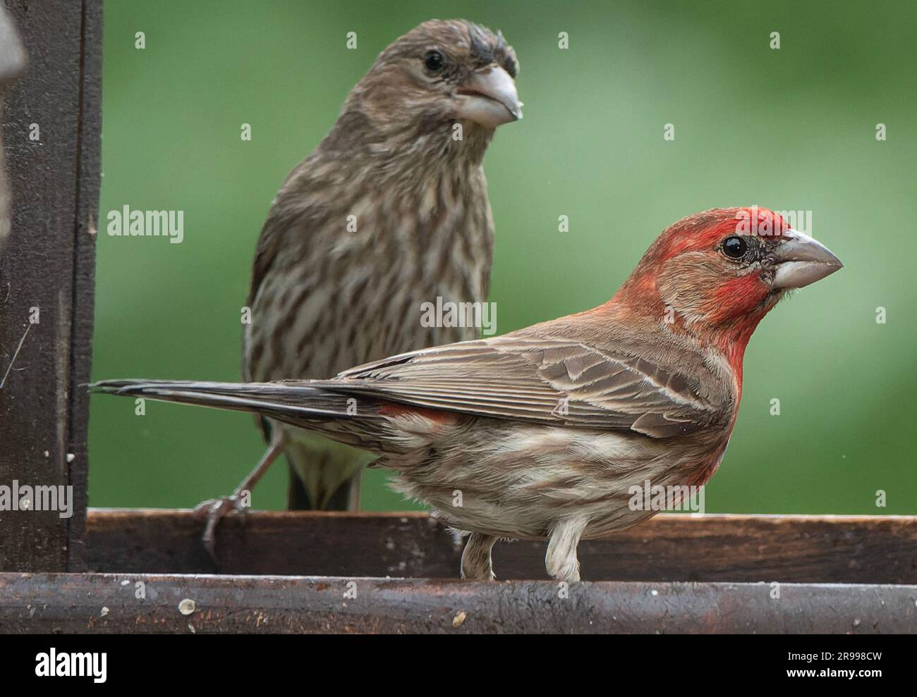 Slanting house hi-res stock photography and images - Alamy