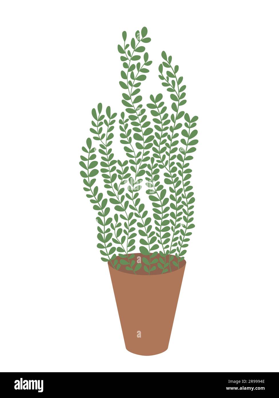 Green fern plant in pot Stock Vector Images - Alamy