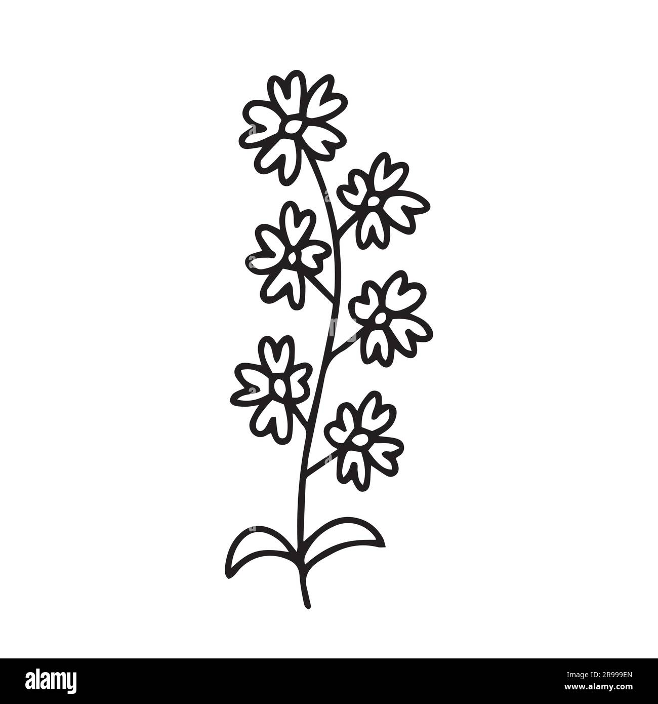 Cute doodle flower Stock Vector Image & Art - Alamy