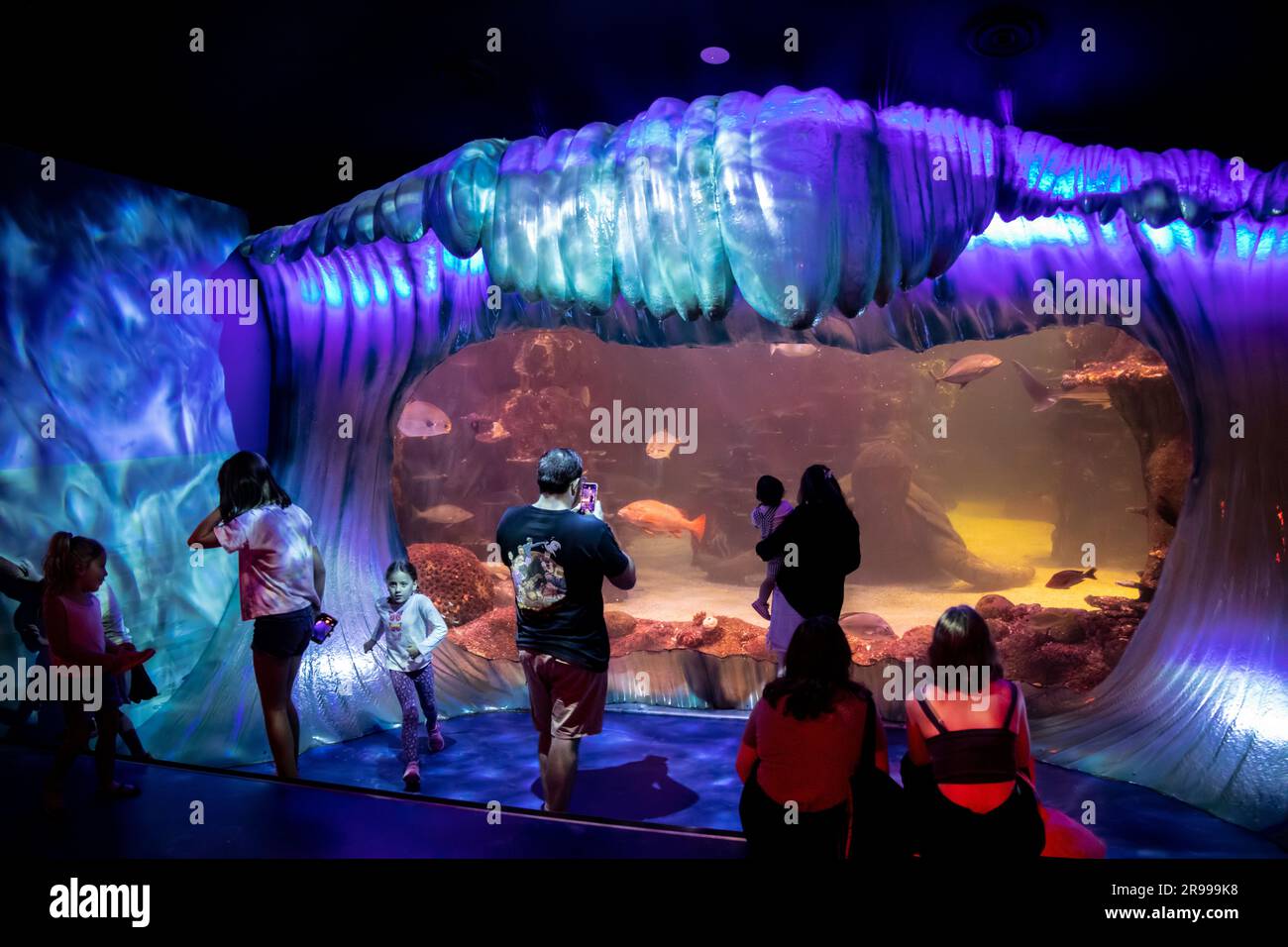 Trouists are watching sharks and fish in tank of Sea Life Sydney ...