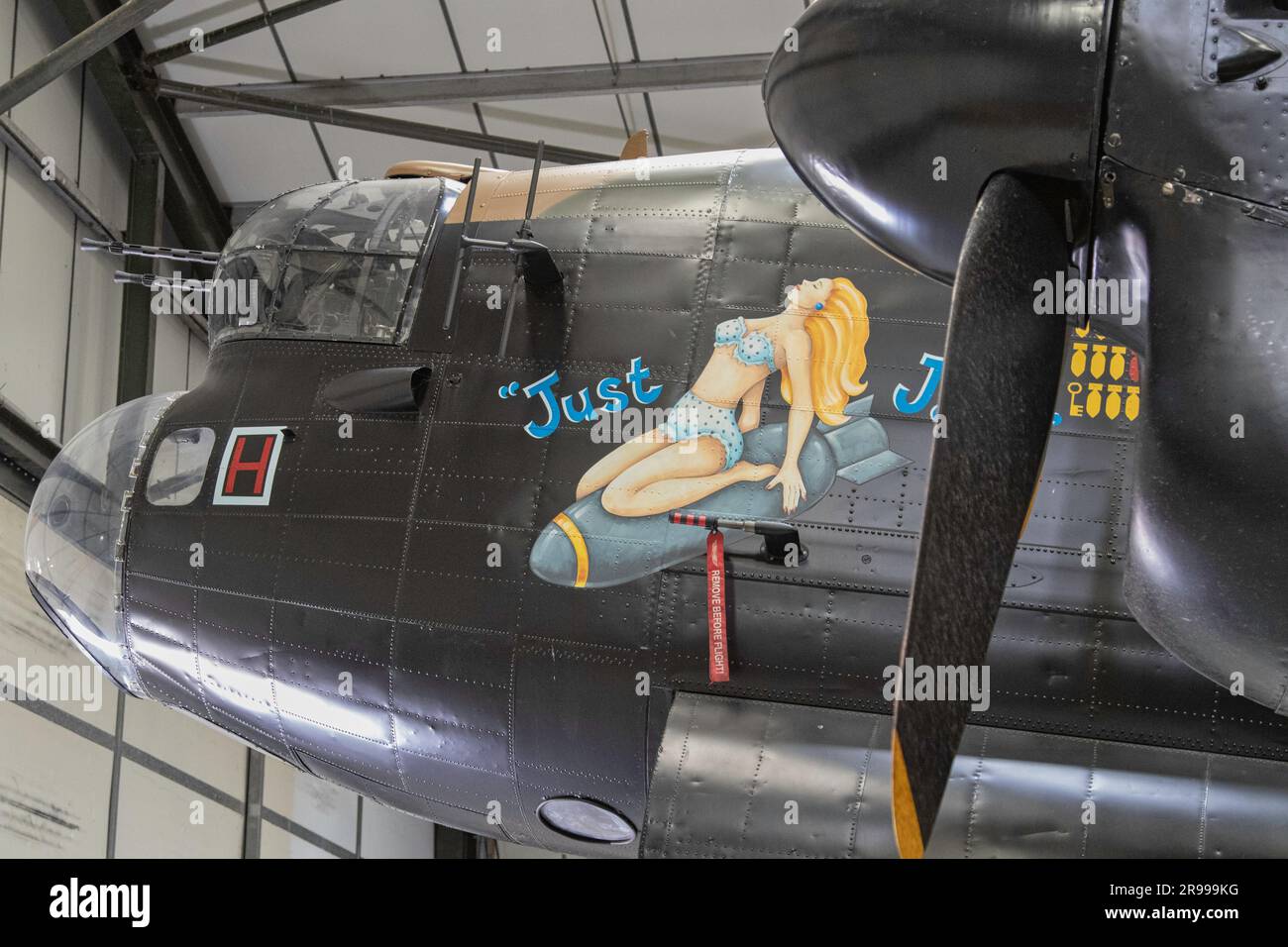 Just jane logo hi-res stock photography and images - Alamy