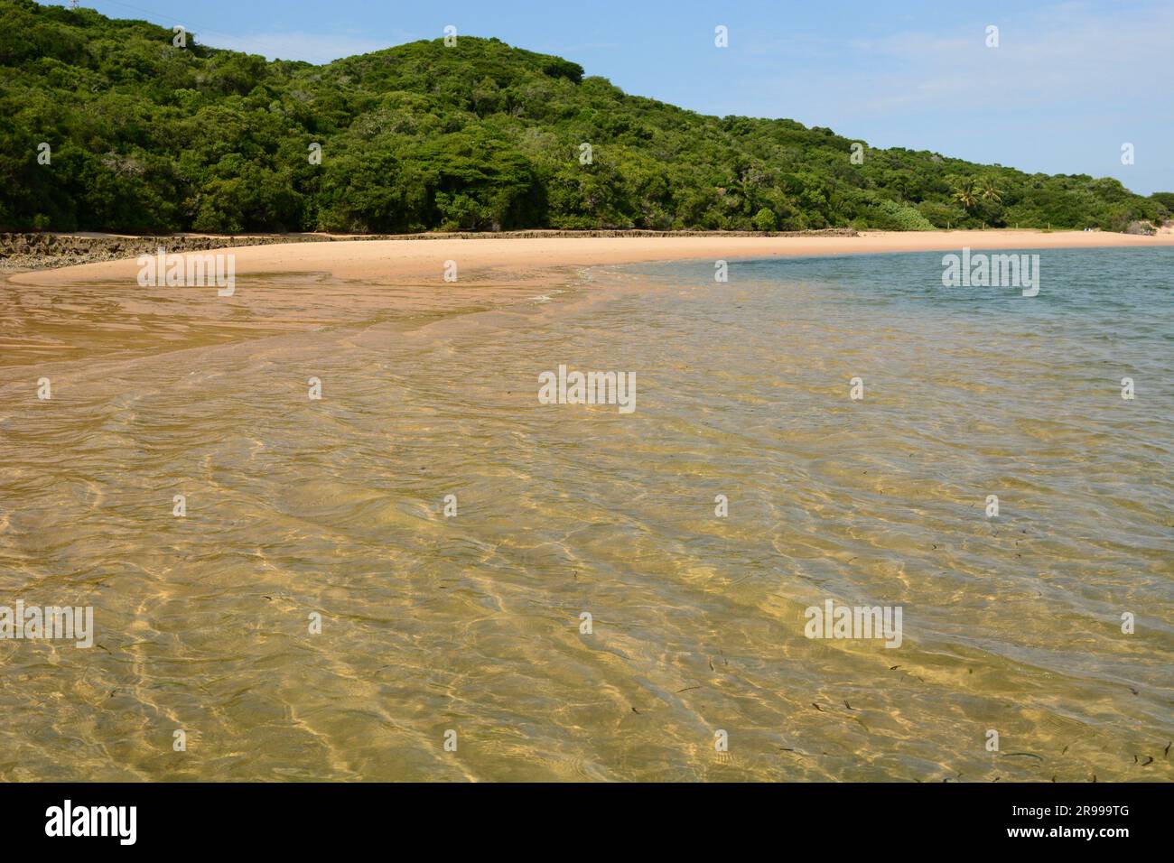 Santa Maria beach. Inhaca island. Maputo municipality. Mozambique Stock ...
