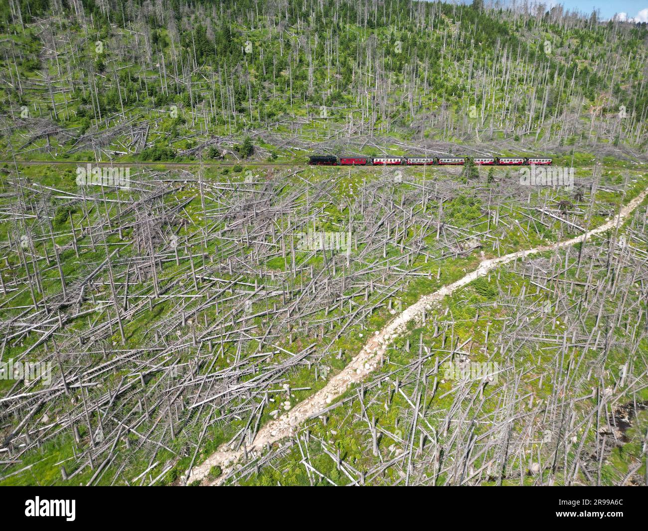 Harz, Germany. 20th June, 2023. A train of the Harzer Schmalspurbahn ...