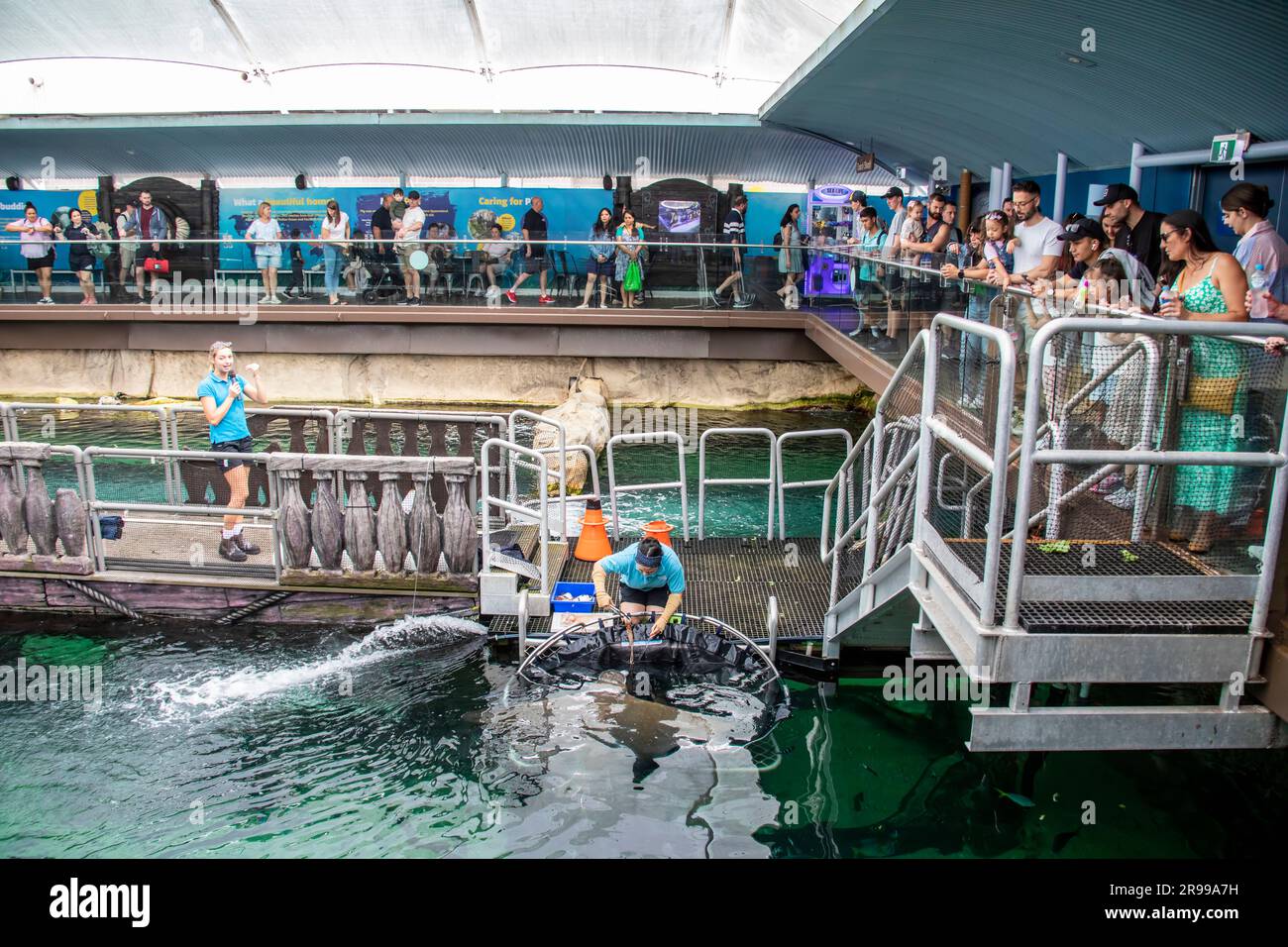 Sydeny Australia 26th Mar 2023: Trouists are watching zookeeper are ...