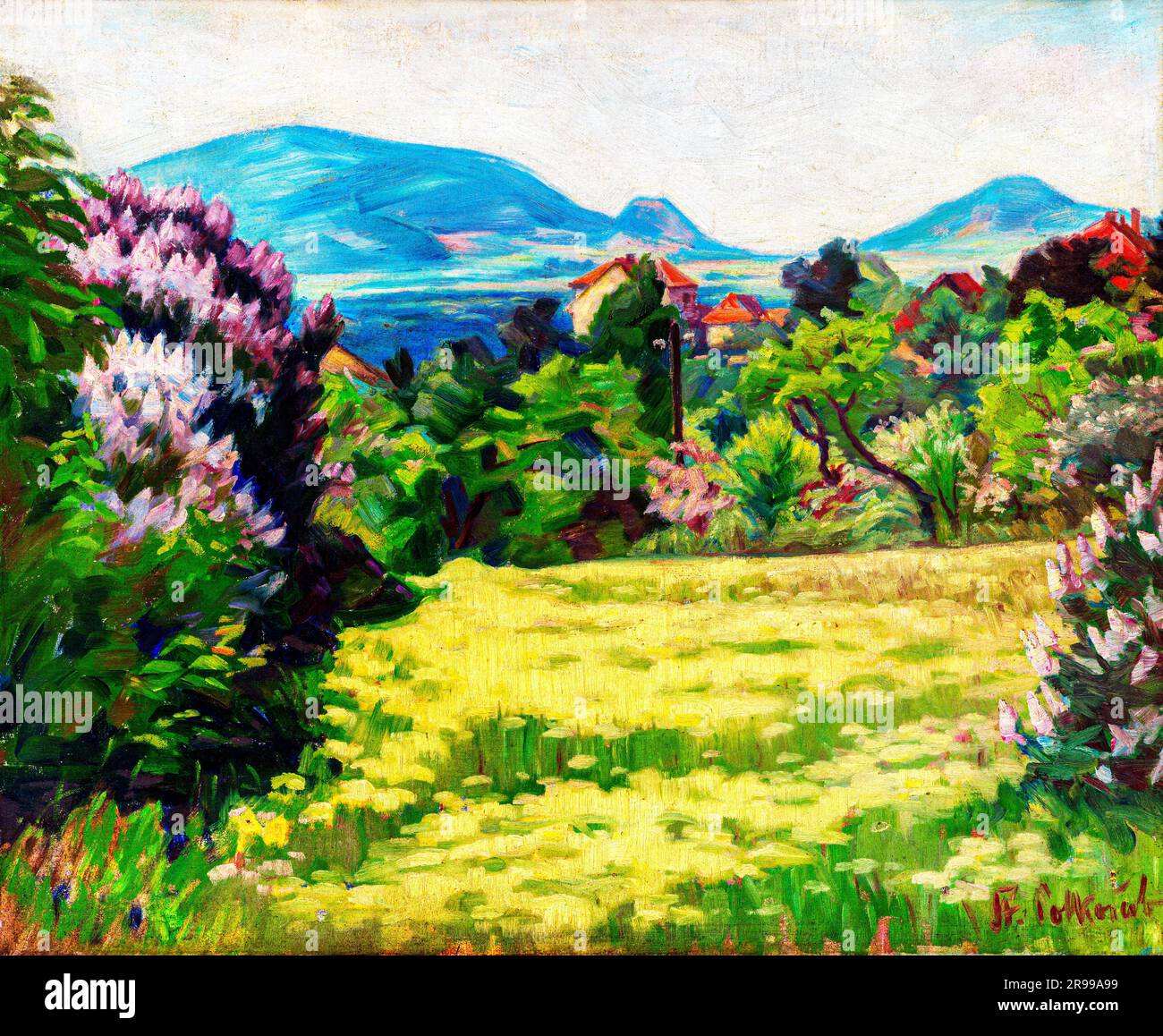 Ves design hi-res stock photography and images - Alamy
