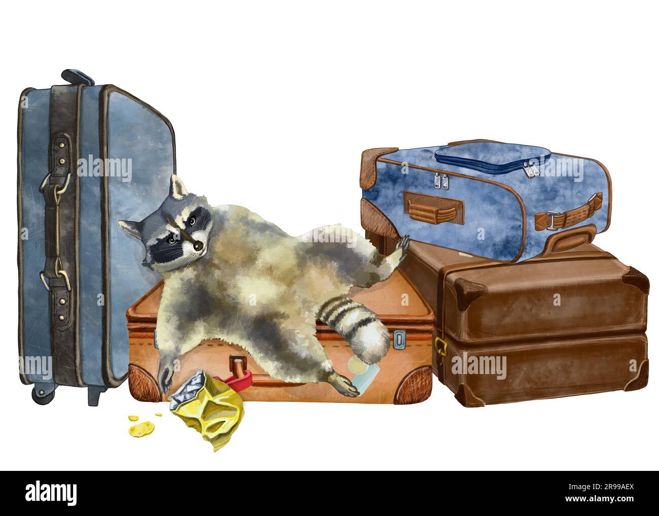 Color illustration of a fat raccoon lazily eating chips. Waiting for a ...