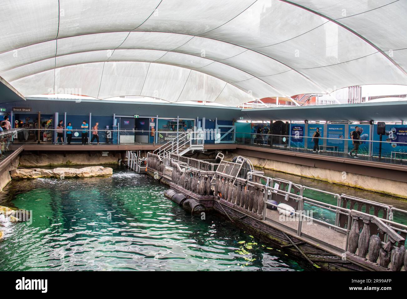 Tourists are visiting Dugong island in Sea Life Sydney Aquarium. A ...