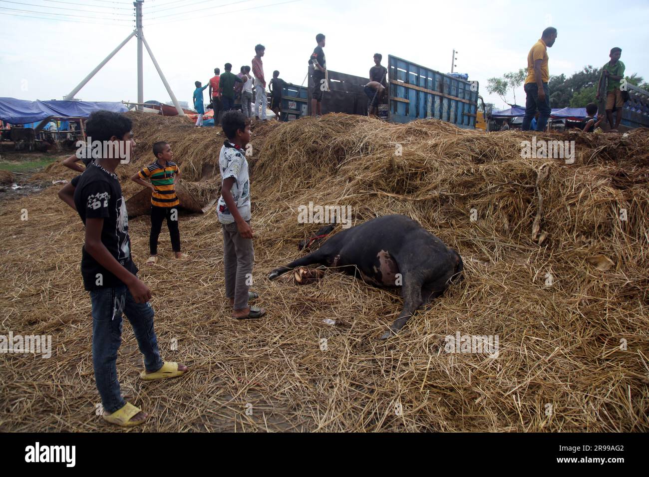 Dhaka bangladesh 23jun2023 hi-res stock photography and images - Alamy