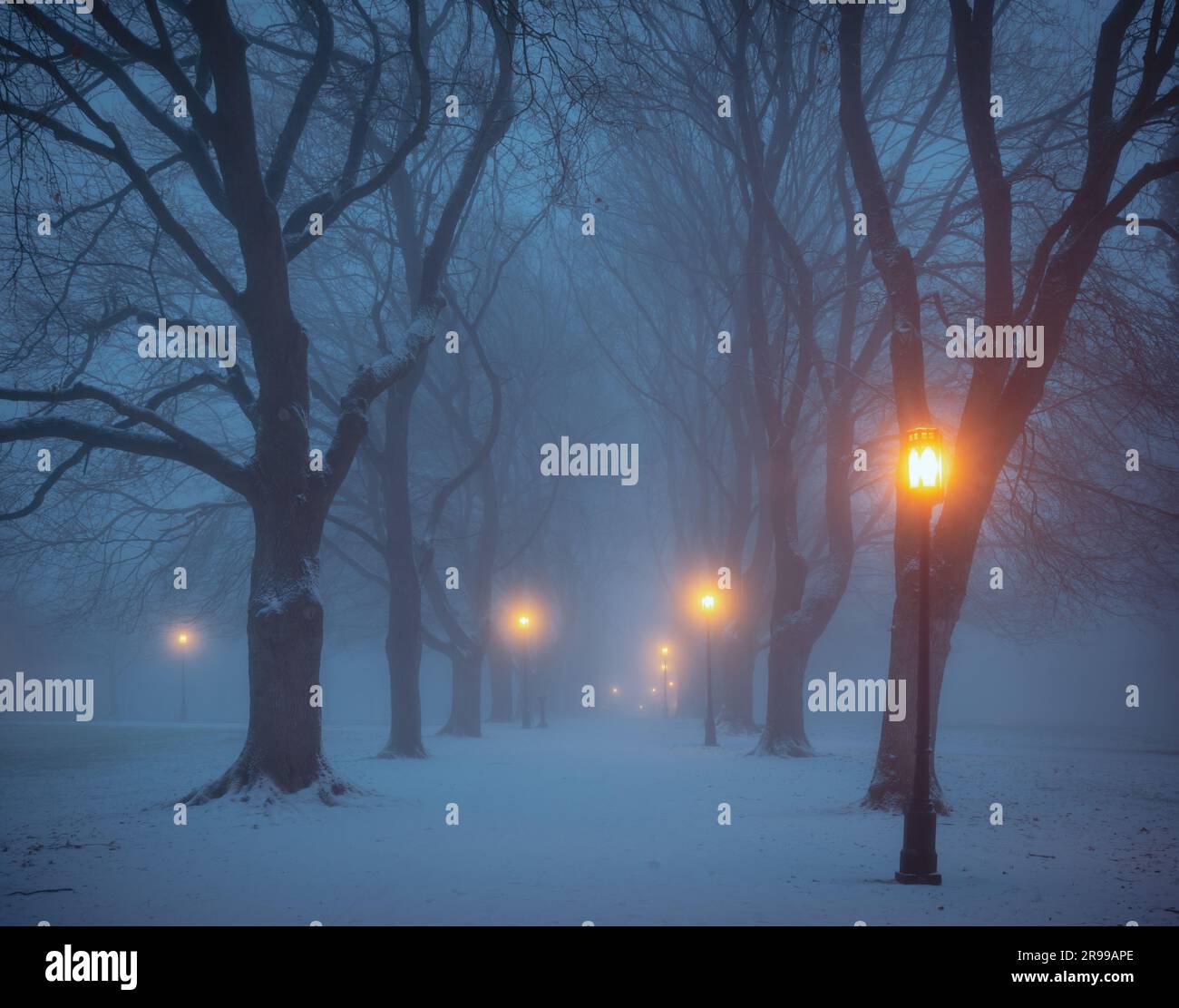 Moscow idaho campus hi-res stock photography and images - Alamy