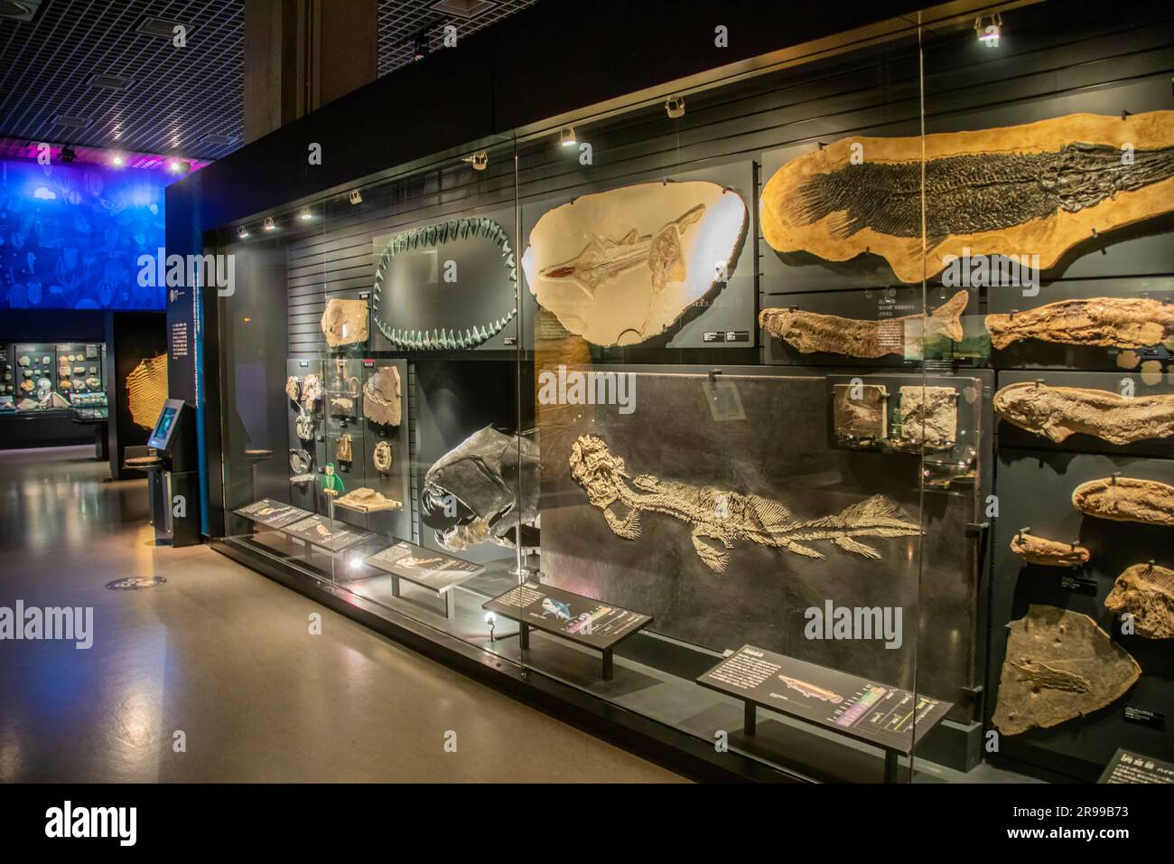 Human existence hi-res stock photography and images - Alamy