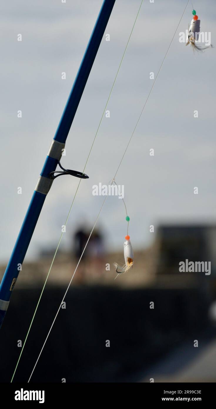 Fly fishing rig ready to go with copy space Stock Photo - Alamy