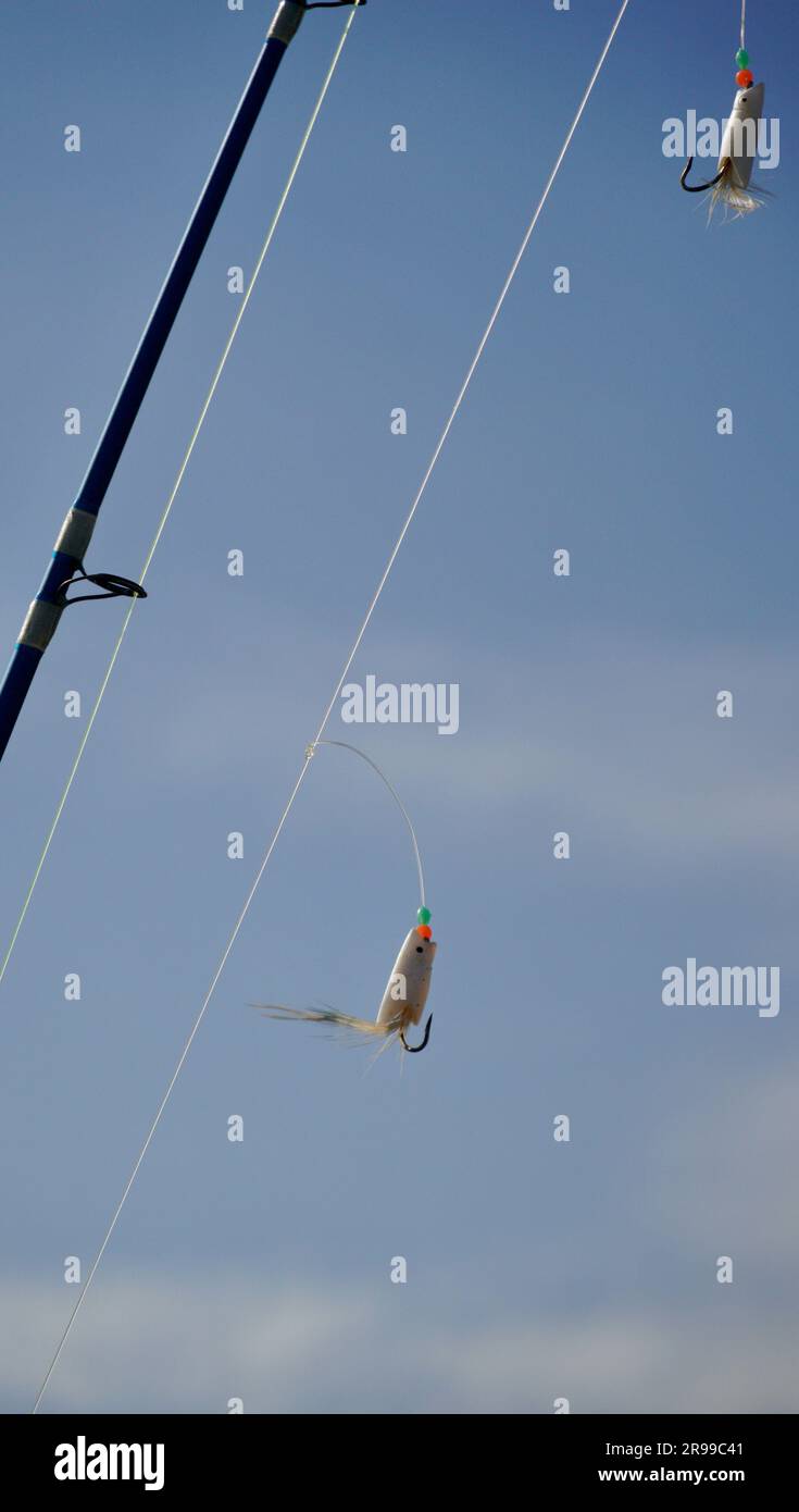 Fly fishing rig ready to go with copy space Stock Photo - Alamy