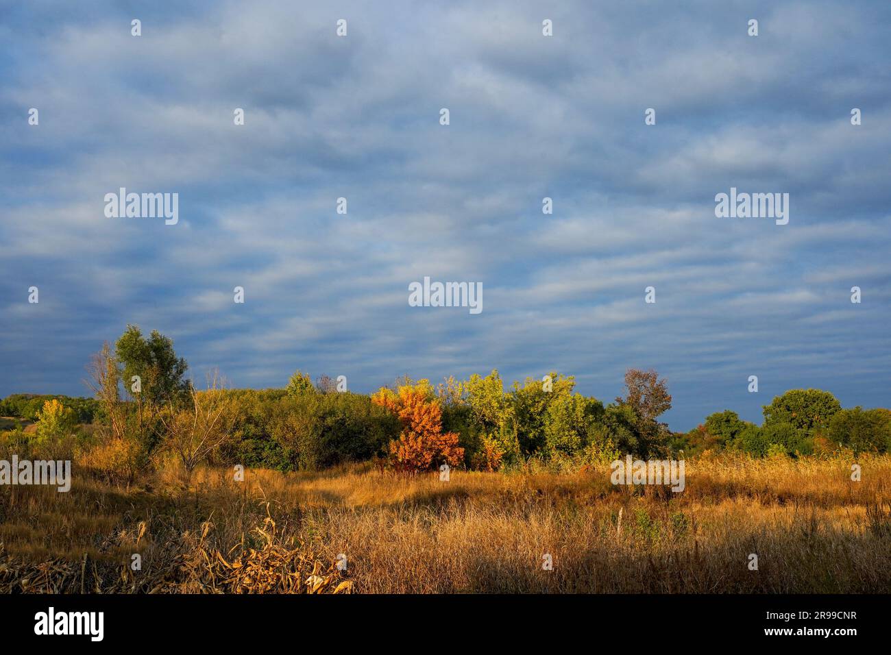 Cloudy blue sky and field with forest, autumn mood Stock Photo - Alamy