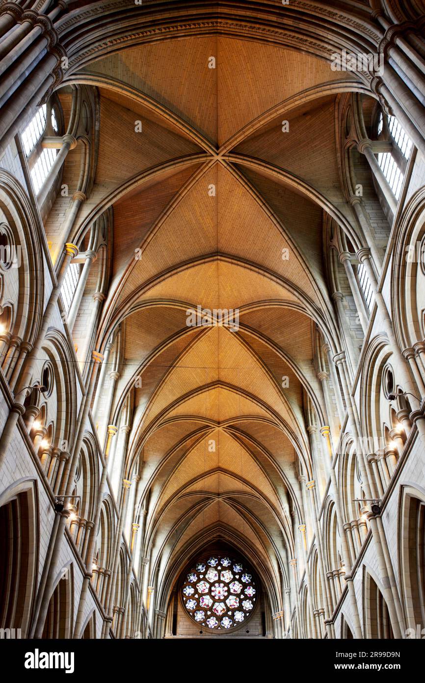 Sublimely detailed representations of both The vaulted ceiling and the ...