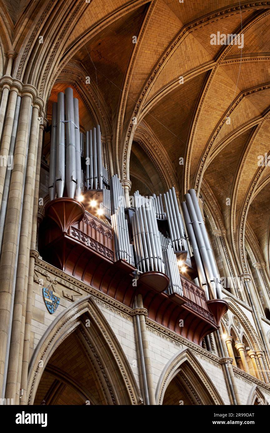 The Truro Organ inhanced by the beautifully detailed vaulted ceiling ...