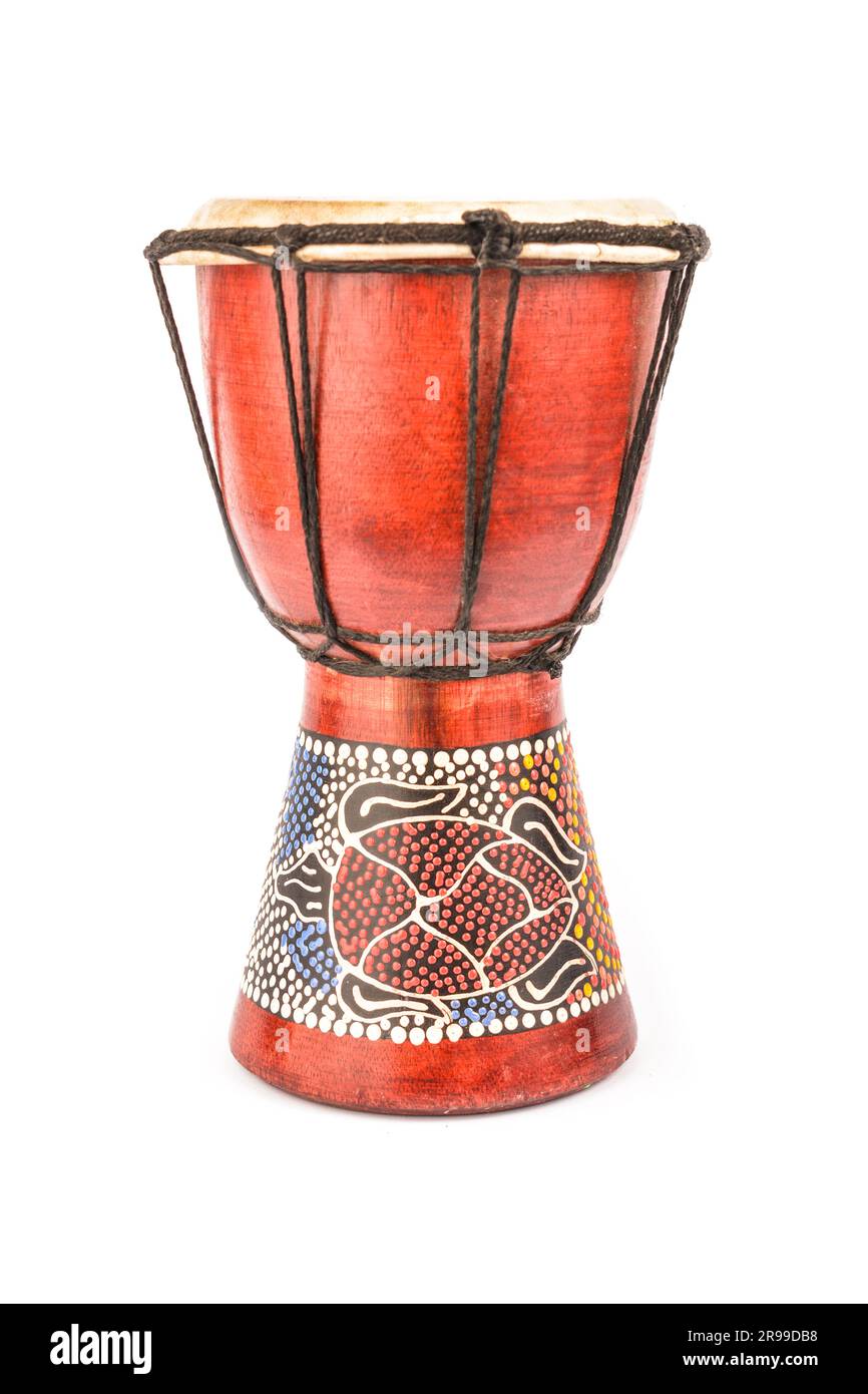 African red drum isolated on white background Stock Photo - Alamy