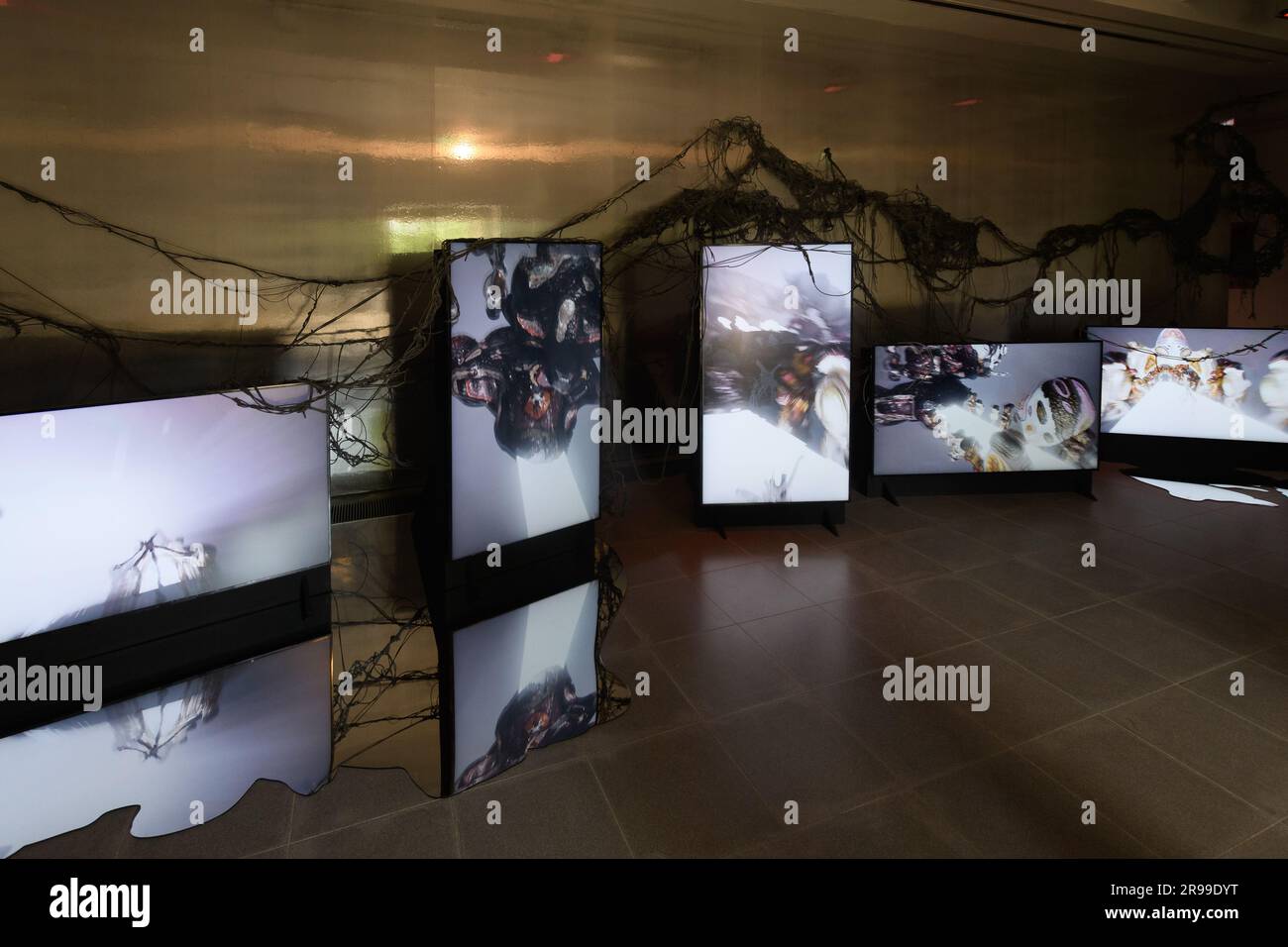 London, UK, 22nd June 2023, Third World: Bottom Dimension is a new ...