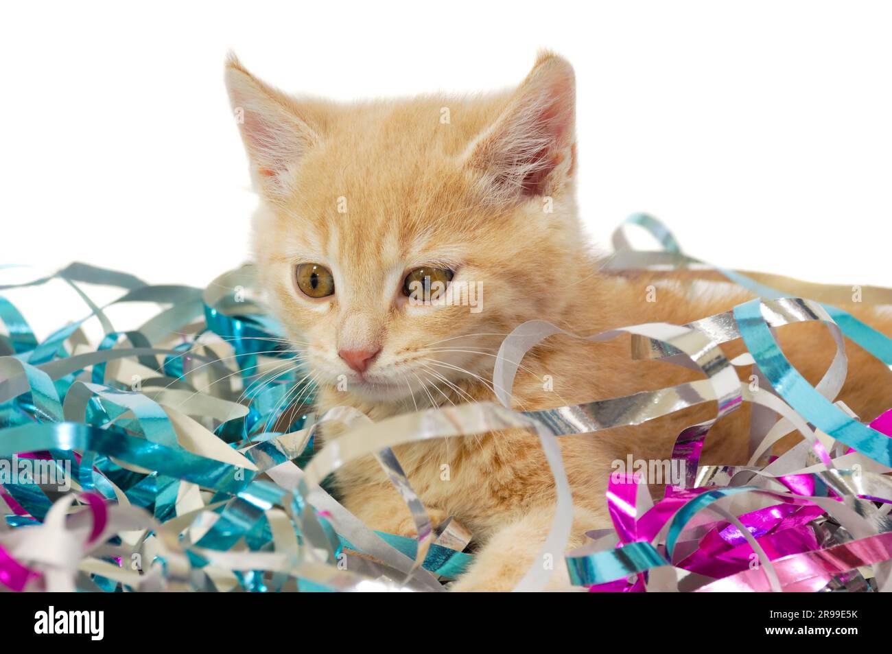 Confetti loop hi-res stock photography and images - Alamy