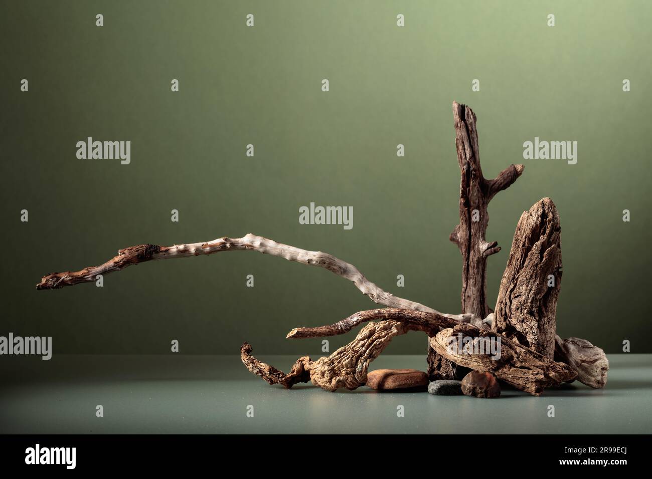 Abstract nature scene with a composition of stones and dry snags. Copy ...