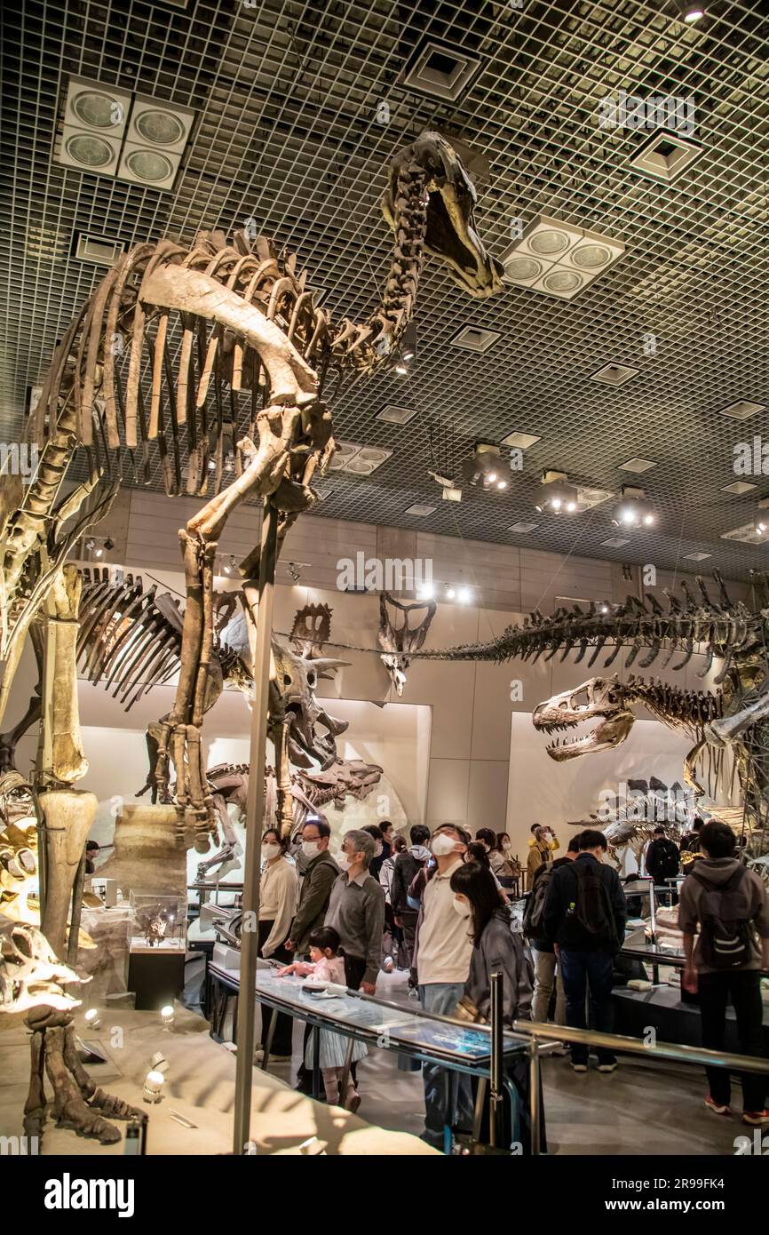 the exhibition "Evolution of life – From the Earth’s Origin through ...