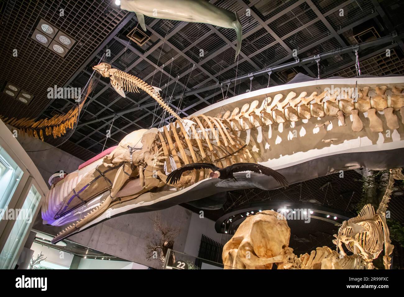 the exhibition "Biodiversity – We are All Part of the Same Ecosystem ...